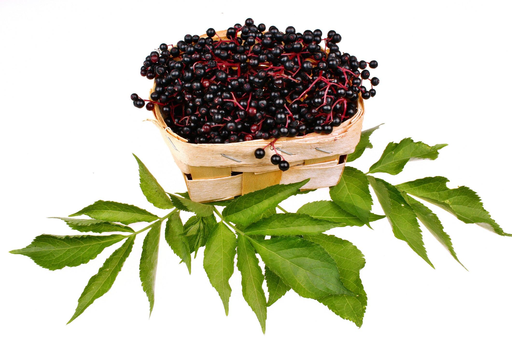 Stress & Anxiety Health – Orca Market